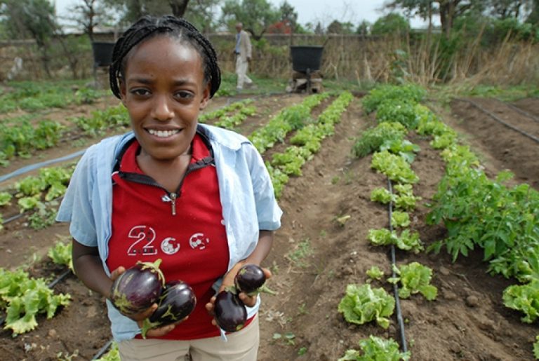 Grow Vegetables - cbm New Zealand